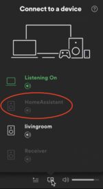 How-To Home Assistant Spotify - Kiril Peyanski's Blog