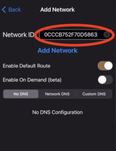 Home Assistant ZeroTier add-on | How to setup ZeroTier network and to add Home Assistant inside ...