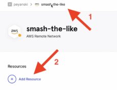 How to install Home Assistant Container + Remote Access using Twingate - Kiril Peyanski's Blog
