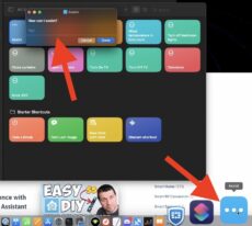 Learn How to Use Assist on Apple Devices: Control Home Assistant with Siri